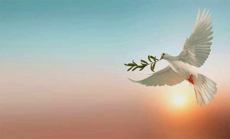 Të Keni Paqe! – MaSt